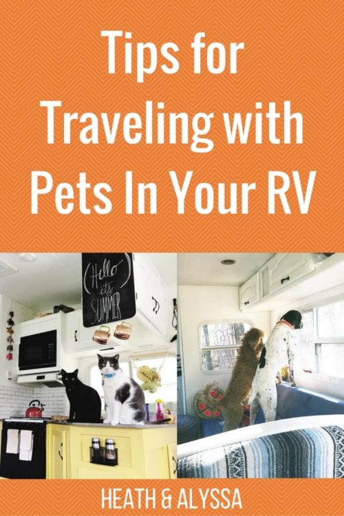 Tips for Traveling with Pets In Your RV – Heath & Alyssa